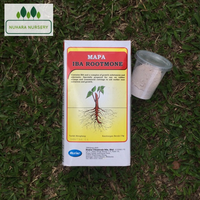 MAPA IBA Rootmone // serbuk hormon akar pokok 50g 100g 200g | Shopee ...