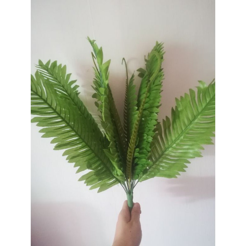Daun paku-pakis jambak (Daun Halus) - 12pcs (Tinggi 43cm X Lebar 10cm ...