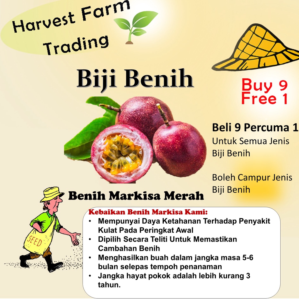 Benih Buah Markisa 10Pcs Passion Fruit Seeds Plant Passiflora seed ...
