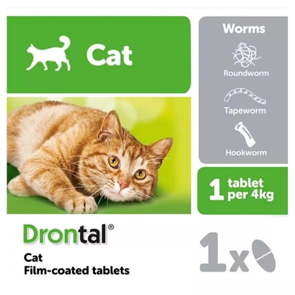 DRONTAL CAT WORM MEDICINE (1 TABLET) ubat cacing kucing | Shopee Malaysia