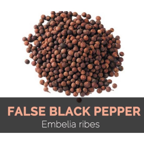 false black pepper fruit seed / powder (embelia ribes) Viavidang Bai ...