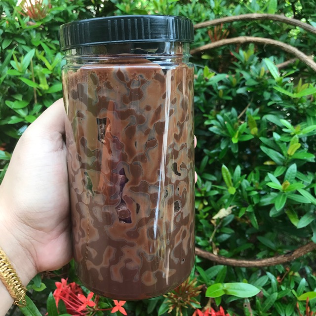 💥 Cocojar Melting Crunchy 💥 | Shopee Malaysia
