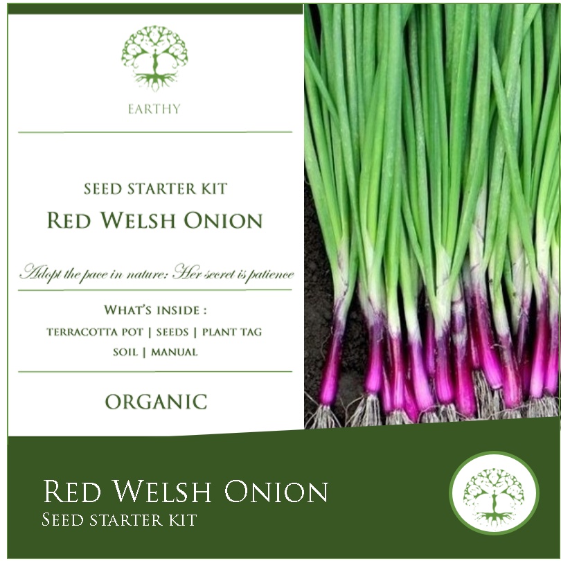 Plant kit - Earthy Onion Welsh Red - Herb Set | Garden kit | Plant ...