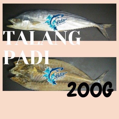 Ikan talang padi masin kering Tanjung Dawai 200++g | Shopee Malaysia