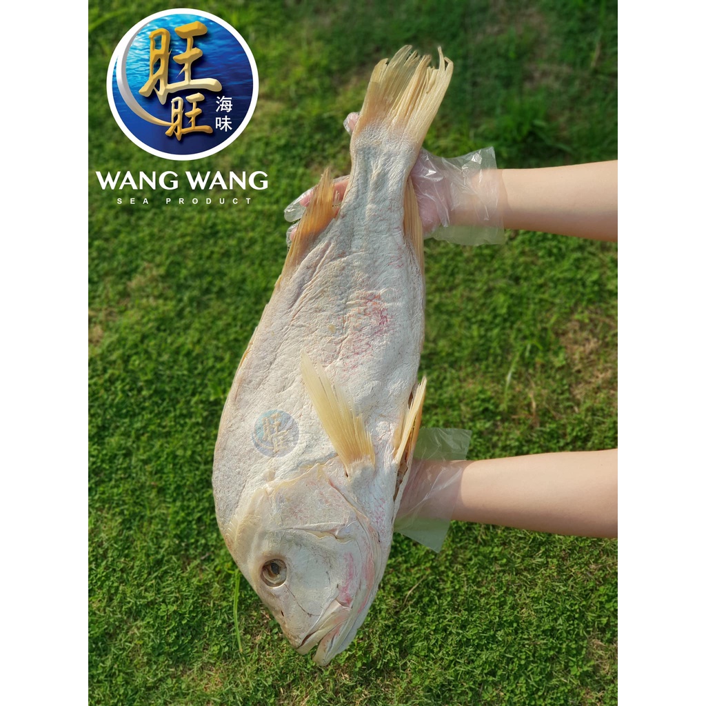 关丹【正宗】梅香咸鱼 100% 新鲜 Fresh Mui Heong Kuantan Salted Fish | Shopee Malaysia
