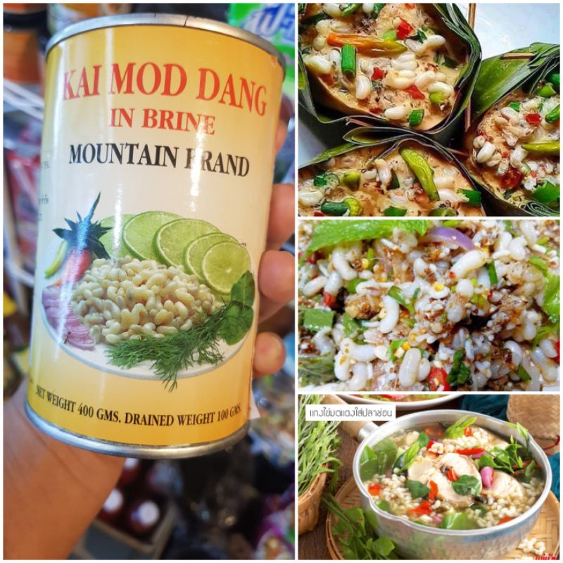 Kai Mod Dang Thailand mountain brand ไข่มดแดงในน้ำเกลือ🇹🇭 | Shopee Malaysia