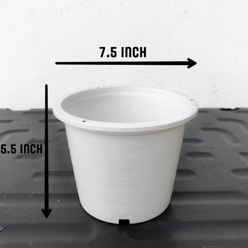 PASU SIAM (Pelbagai saiz) | Shopee Malaysia