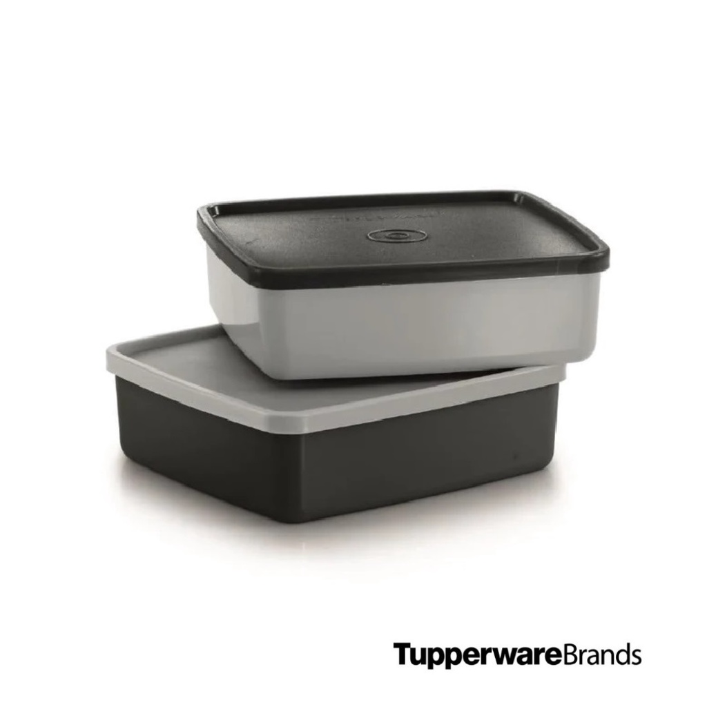 Tupperware Large Square Away (2) 620ml | Shopee Malaysia