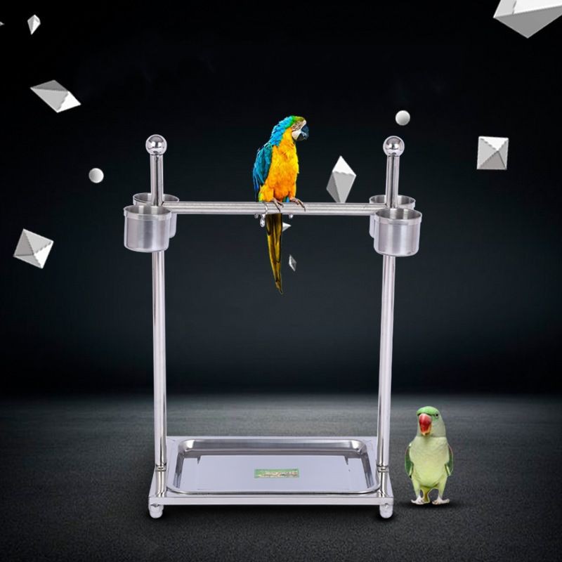 🔥Ready Stock🔥stainless steel parrot stand set | Shopee Malaysia