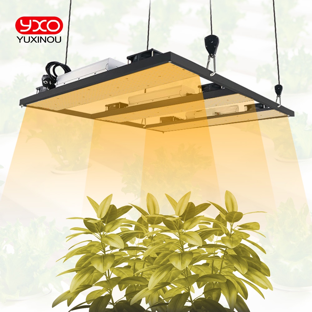 LED Grow Light Growbox Samsung LM301H 240W 480W 720W Hydroponics Lamp ...