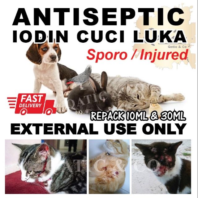 IODIN ANTISEPTIC UBAT CUCI LUKA HAIWAN Kucing Anjing Arnab Hamster ...
