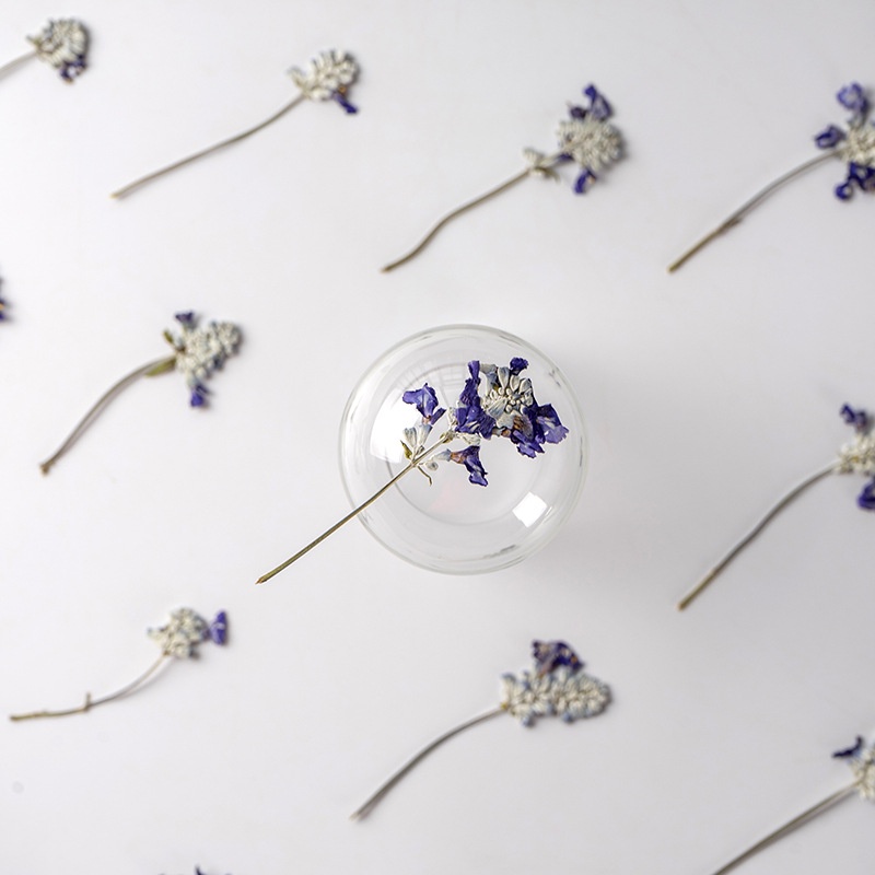 12 Pieces Common sage Pressed Leaves Real Dried Leaves Dried Plants ...