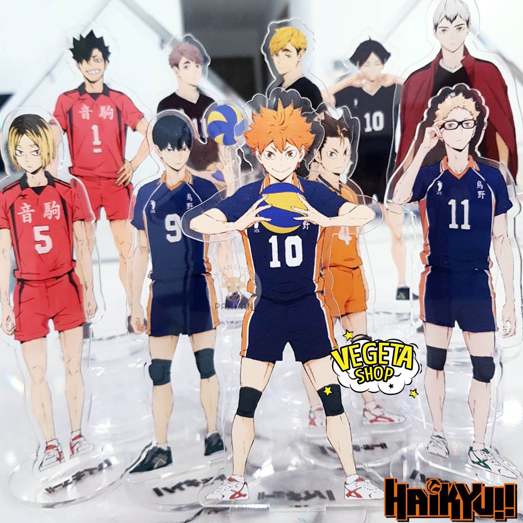 Double-sided Acrylic Mica Standee Statue Model Haikyuu Shoyo Hinata ...