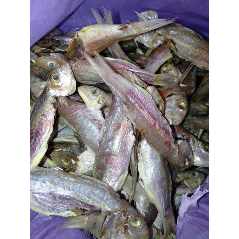 ikan kering/masin butir nangka/nako Kuala besut terengganu segar sedap ...