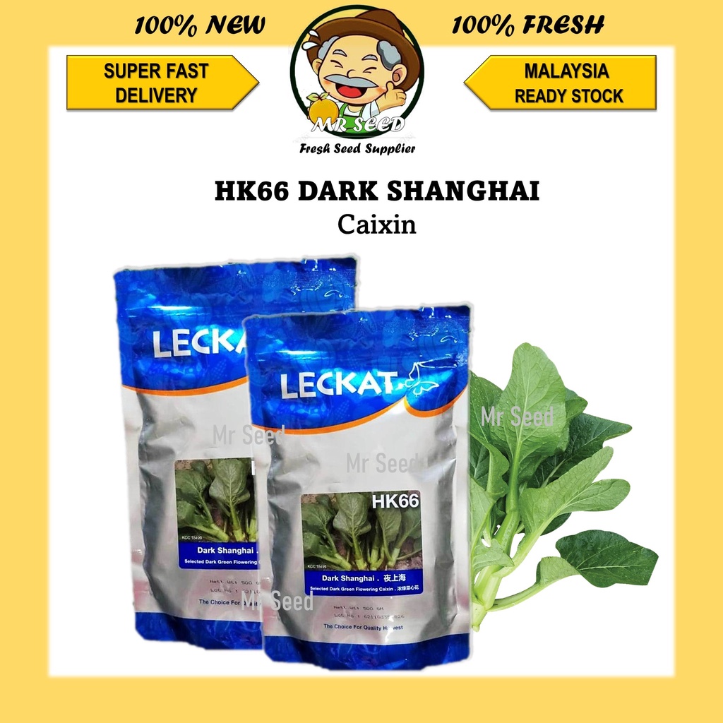200g/500g LECKAT HK66 HK 66 SAWI MANIS SHANGHAI (BUNGA) / DARK SHANGHAI ...