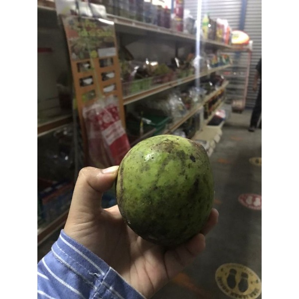 BUAH MACHANG KAMPUNG | Shopee Malaysia