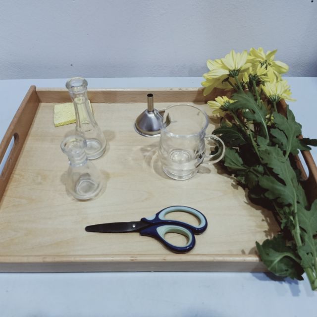 [Ready Stock] Montessori Practical Life Flower Arrangement Pouring ...