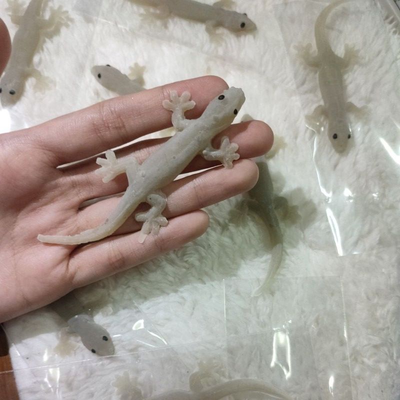 mainan cicak getah realistic murah / prank toys readystock | Shopee ...