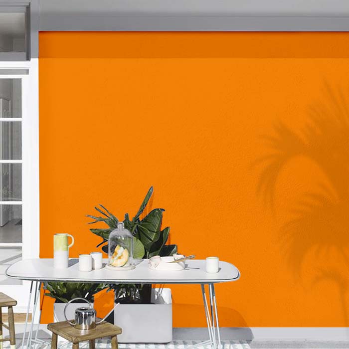 ( Orange & Oren ) 5L 8 Years Protection Exterior Wall Paint (Cat ...