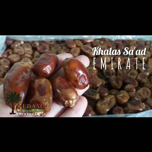 Khalas Sa'ad Dates @10kg | Shopee Malaysia