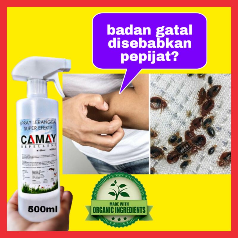 CAMAY REPELLENT Spray pepijat, Bedbug, pepijat tilam bedbug bedbug ...