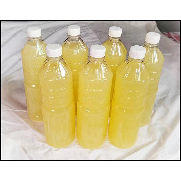 Super Powerful WHEY KEFIR Beef (1Liter WHEY PROTEIN Cow Milk FITNESS ...