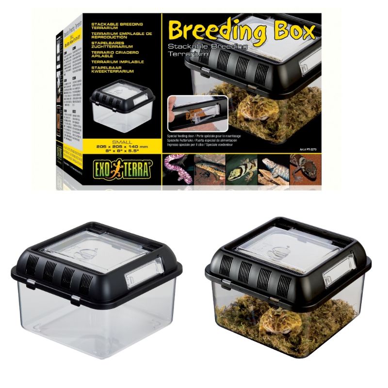 Exo Terra Reptile Breeding Box Small Transport Box Quarantine Box ...