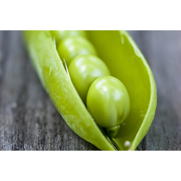 Pisum Sativum (Pea) Sprout Extract RM-A032 - 100ml | Shopee Malaysia