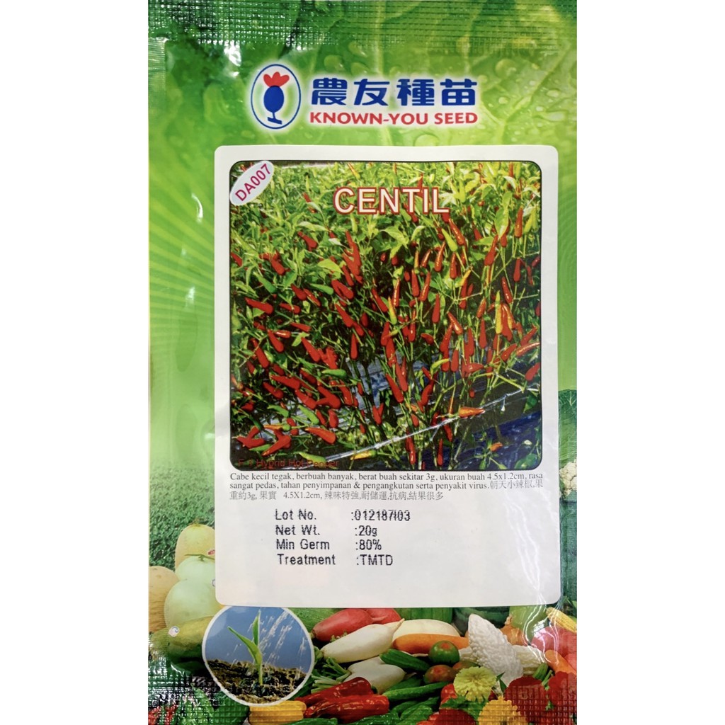 Benih Cili Hot Pepper Centil DA007 F-1 Hybrid Known-You - ( 20g ) 👍 💯 ...
