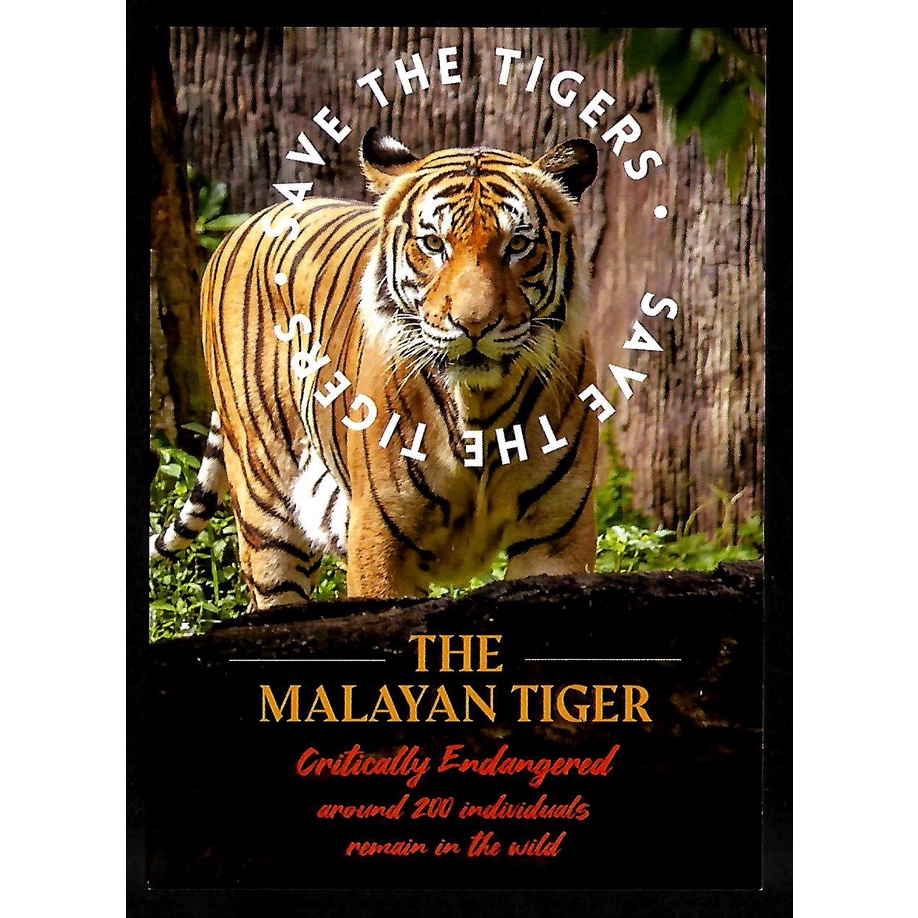 Malaysia Postcard - Save The Tigers : Malayan Tiger | Shopee Malaysia