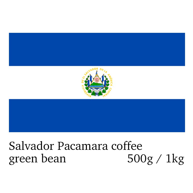 Selected Salvador Pacamara Honey Processed Green Coffee Beans 500g/1kg ...