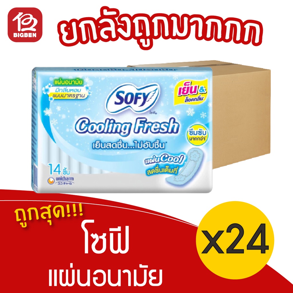 [Carton Of 24 Packs] Sofy Cooling Fresh Fragrant Standard Sanitary Pads ...