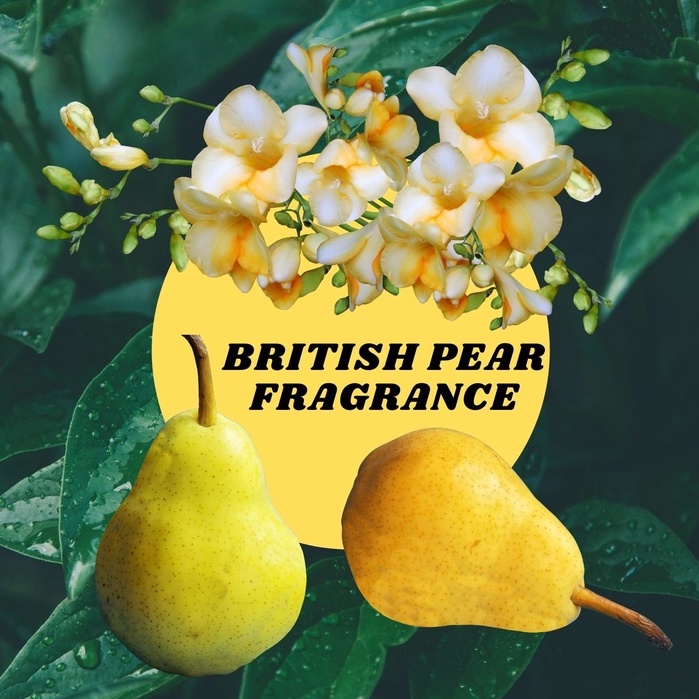 Pati Pewangi British Pear Fragrance / Pure Fragrance Oil/ British Pear ...
