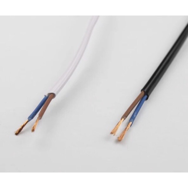 1 Meter - 2Core. Tough Rubber-Sheathed TRS Copper Cable (Black/White ...