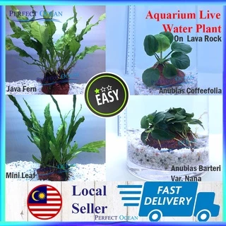 water tank - Prices and Promotions - Dec 2024 | Shopee Malaysia