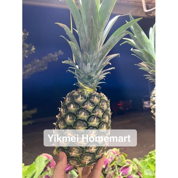 Nanas king MD2 pineapple kingMD2 | Shopee Malaysia