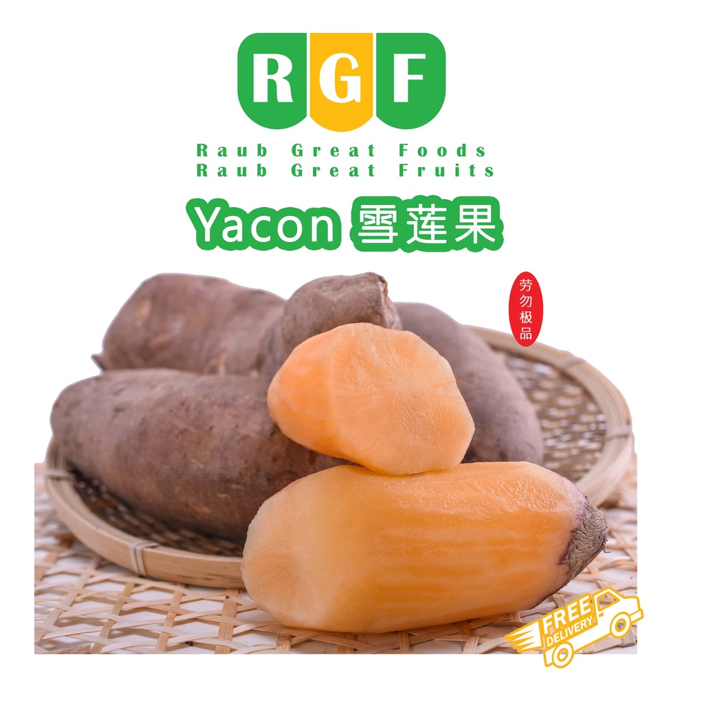 Cameron Fresh Yacon (1Kg - 2 pieces) Improve the level of cholesterol ...