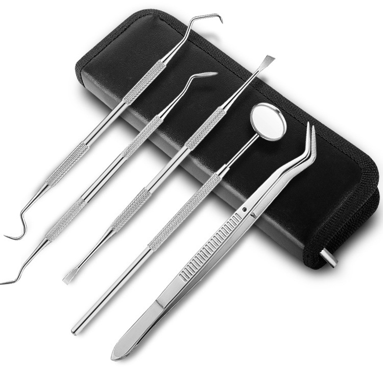 Dental Cleaning Tools Kits Stainless Steel Tooth Pick Dental Scraper ...