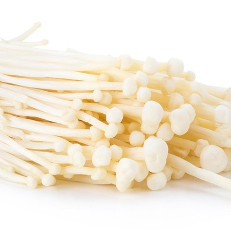 Fresh enoki mushroom / Vegetables Enoki Mushroom - 1 pack 金针菇 | Shopee ...