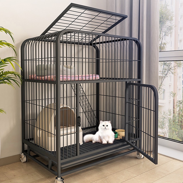 2 Free Gift~High End XL Cat Cage Solid Steel Pipe Steel Sangkar Kucing ...