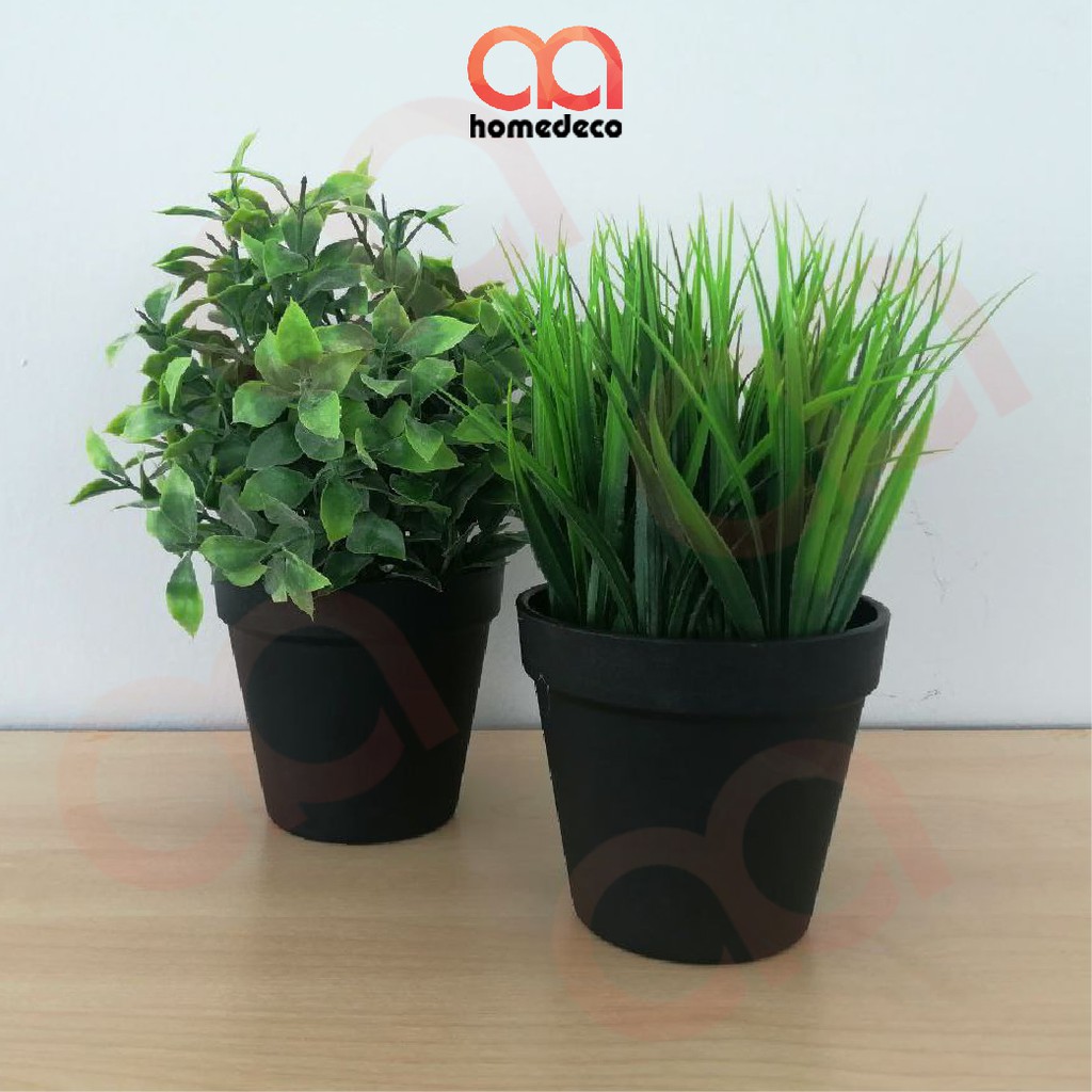 Pokok Hiasan Mini Fake Plant (PASU HITAM) Green Plants Home Office ...