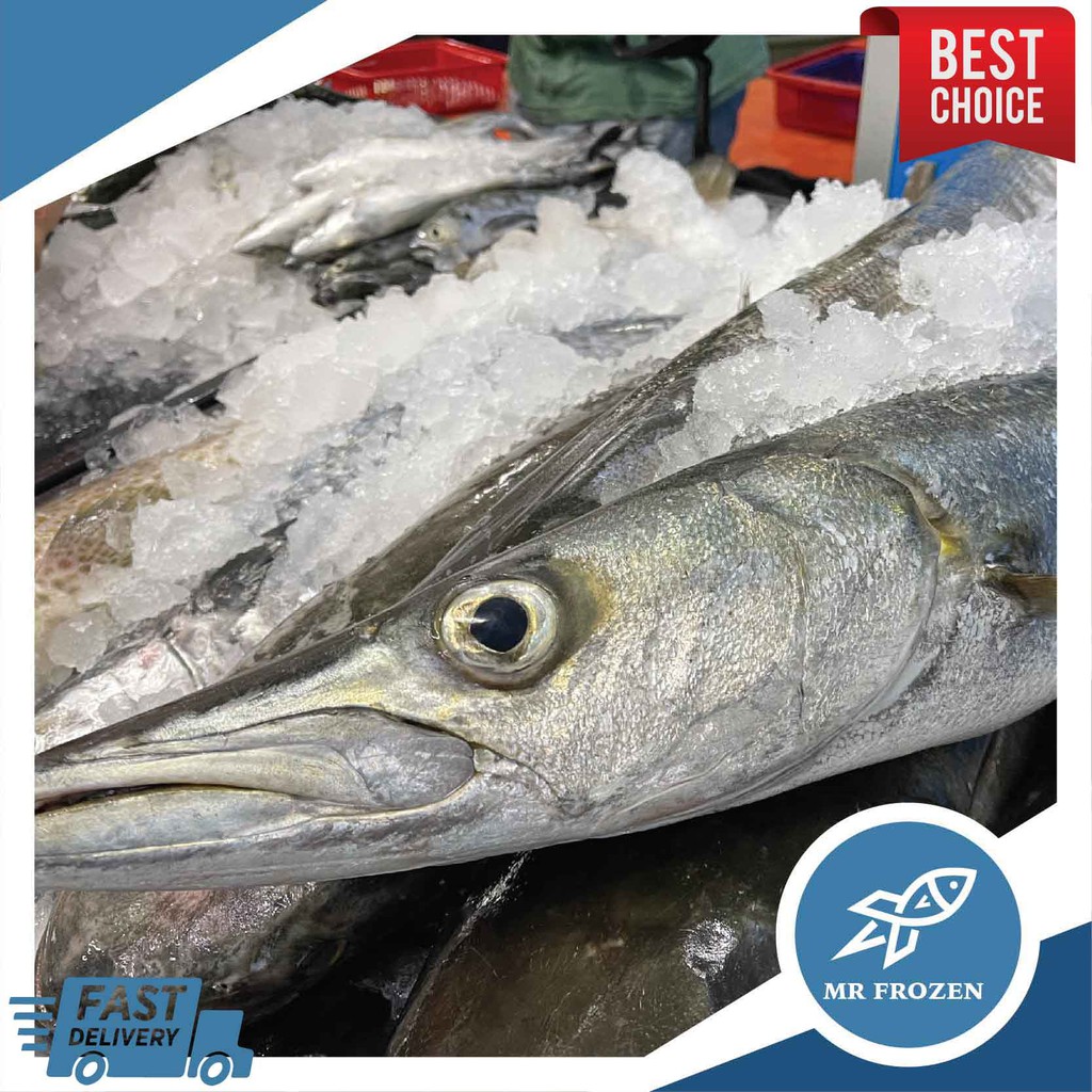 【Pre-order】 Tek Soo Fish 本地德苏鱼 100%Chemical-free | Shopee Malaysia