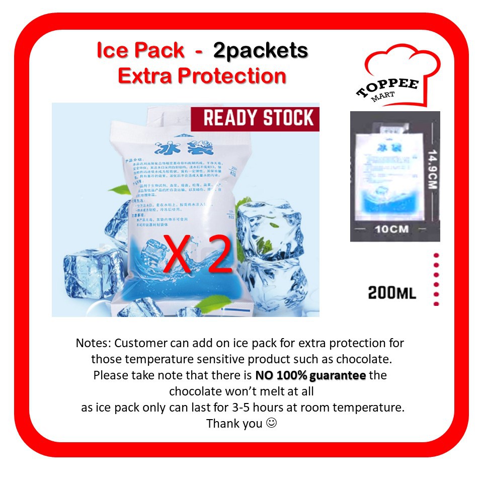 SET 2PKTS - ICE PACK (2 PACKETS) ADD ON EXTRA PROTECTION FOR ...