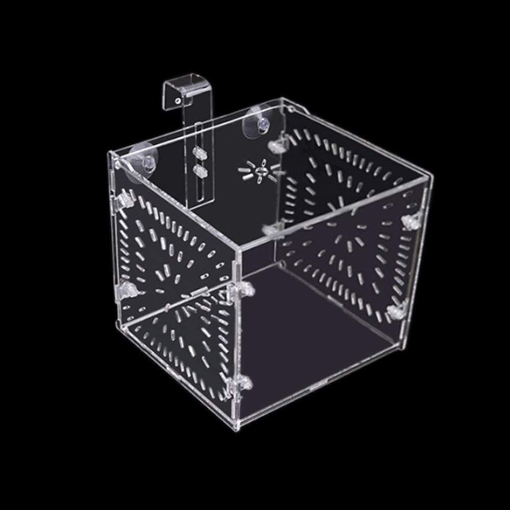 Acrylic Quarantine Box 10 x 10 x 10cm | Shopee Malaysia