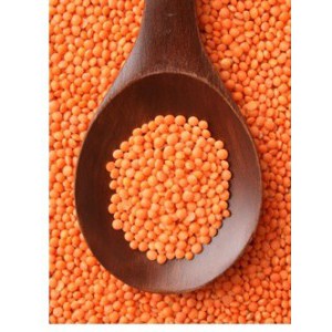 Mysoor Dhal (Red Lentils/Dal Merah) | Shopee Malaysia