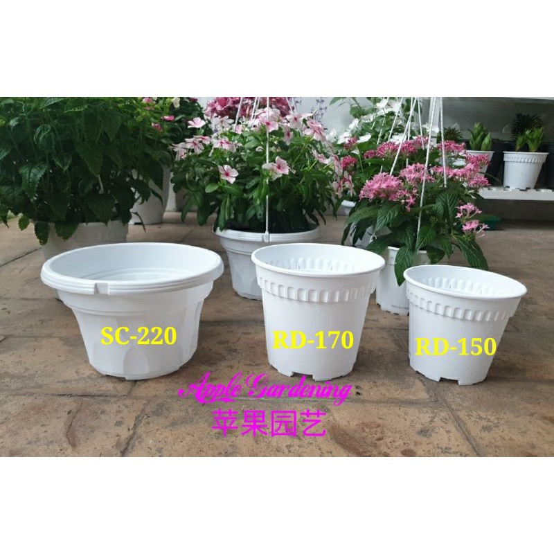 BABA Biodegradable Flower Pot*BABA 白色花盆 | Shopee Malaysia