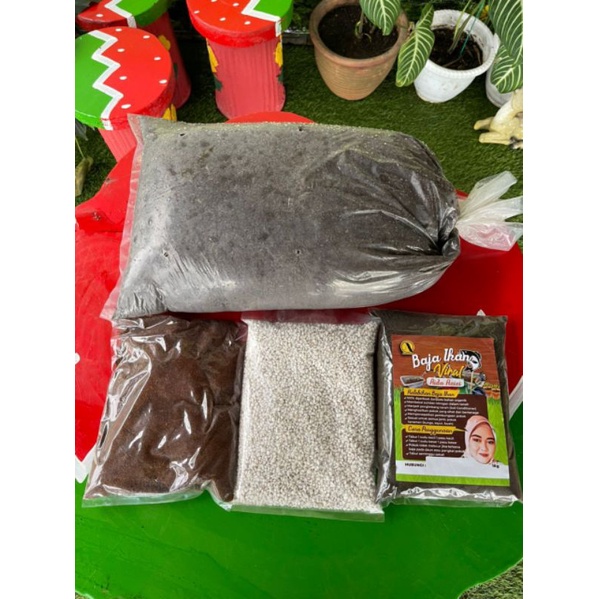 set tanah untuk pokok keladi | Shopee Malaysia