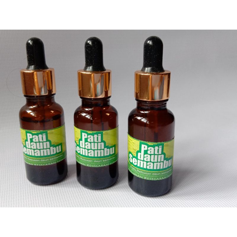 PATI DAUN SEMAMBU. (PURE 100% REBUSAN DAUN SEMAMBU) | Shopee Malaysia