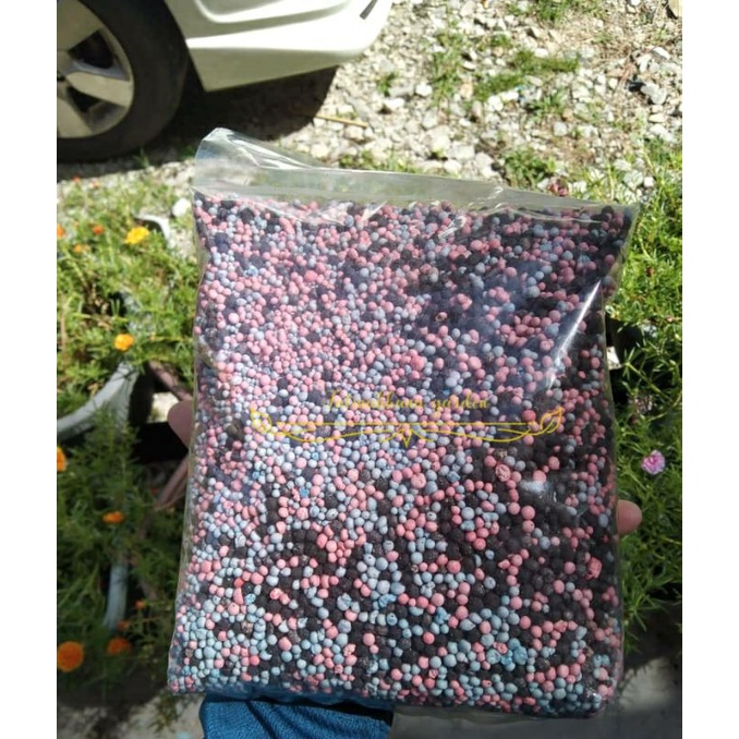 1KG BAJA MIX UNTUK ROS JEPUN/BAJA PAKSA GEMUK / BAJA BUAH DAN BUNGA ...