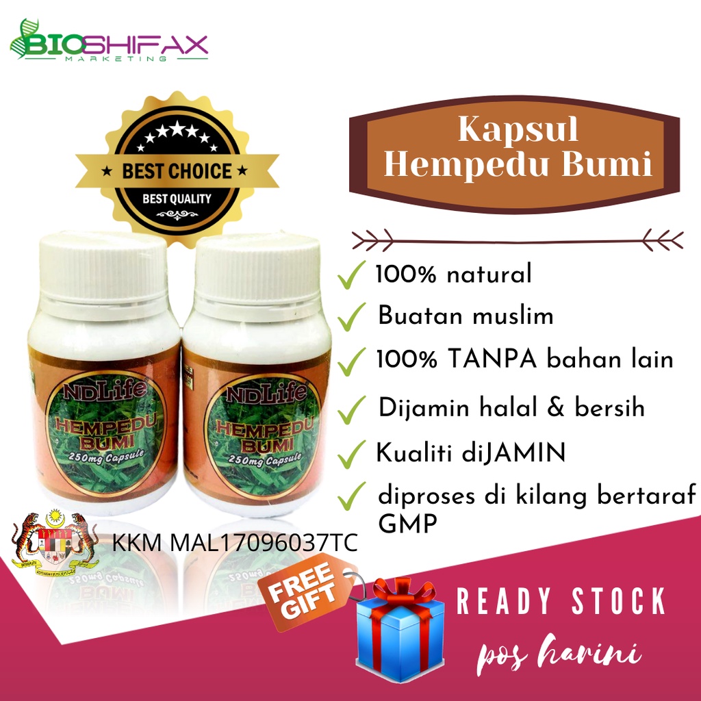 Kapsul Hempedu Bumi + Free Gift / King of Bitter / Green Chireta - ND ...